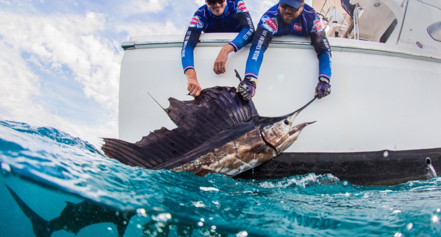 Case Studies | Brandscope